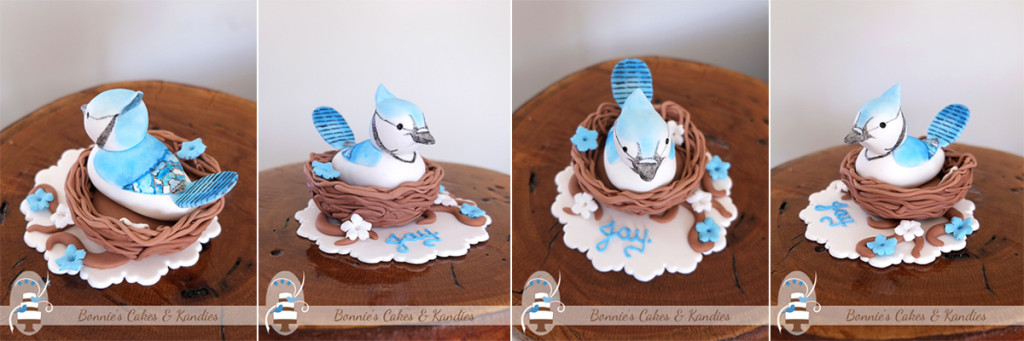 Happy Naming Day, Baby Blue Jay | Bonnie's Cakes & Kandies